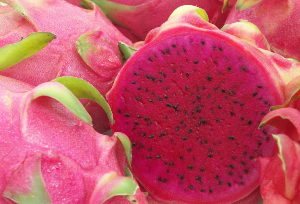 Pitaya Vermelha Liofilizada: Explorando a Exuberância e os benefícios ...